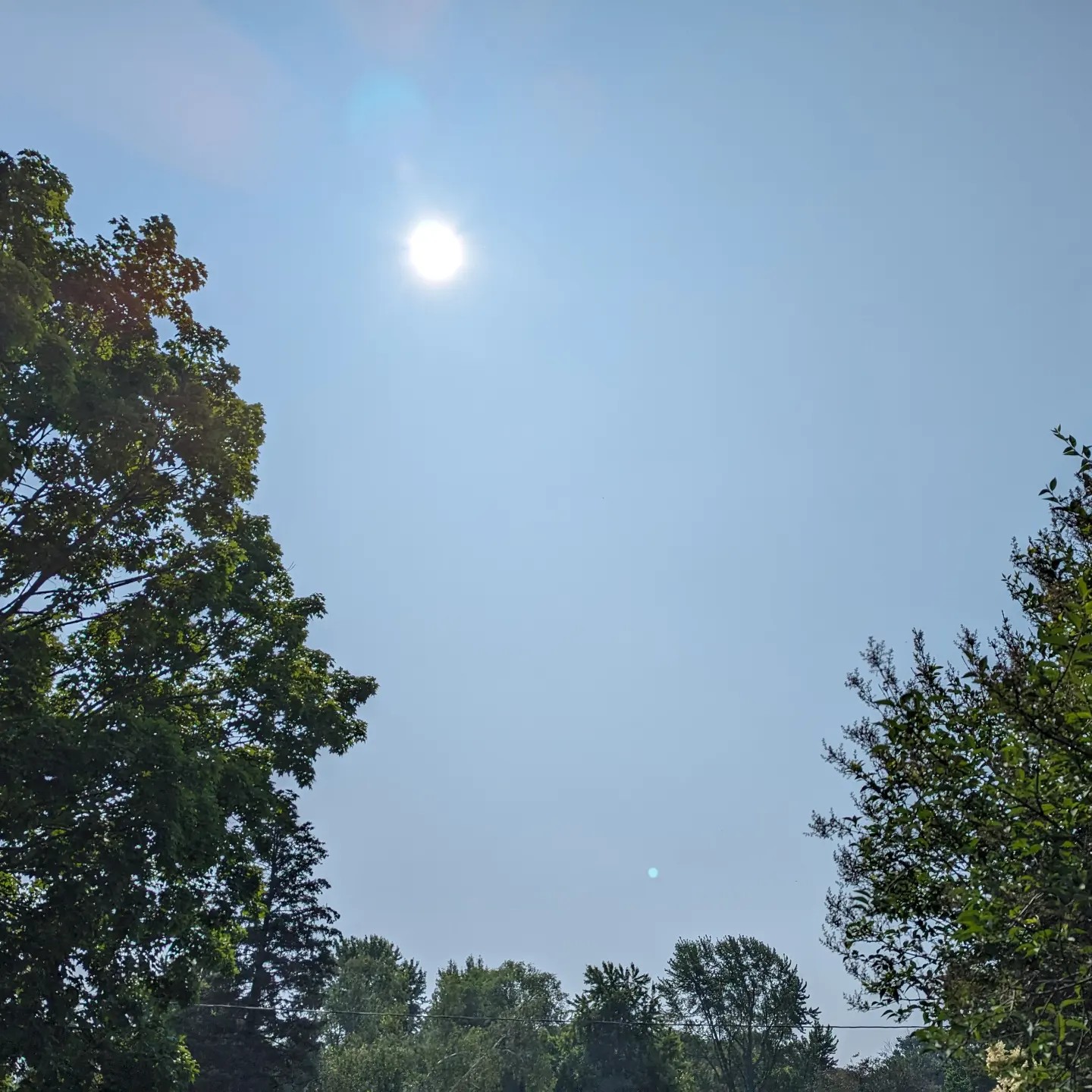 Spring. June 18th, 2023. – Greylupine Photography