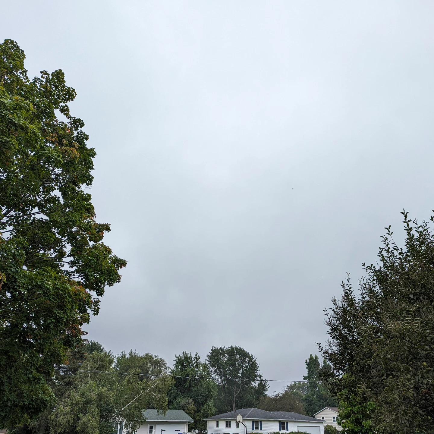 Summer. September 9th, 2023. – Greylupine Photography