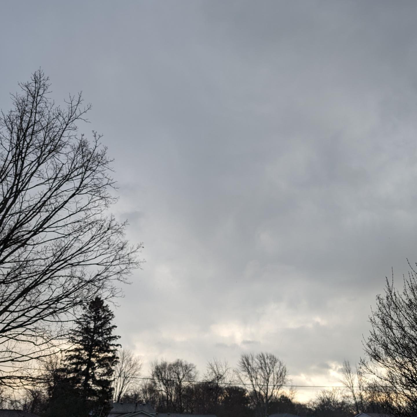 Winter. February 10th, 2024. – Greylupine Photography