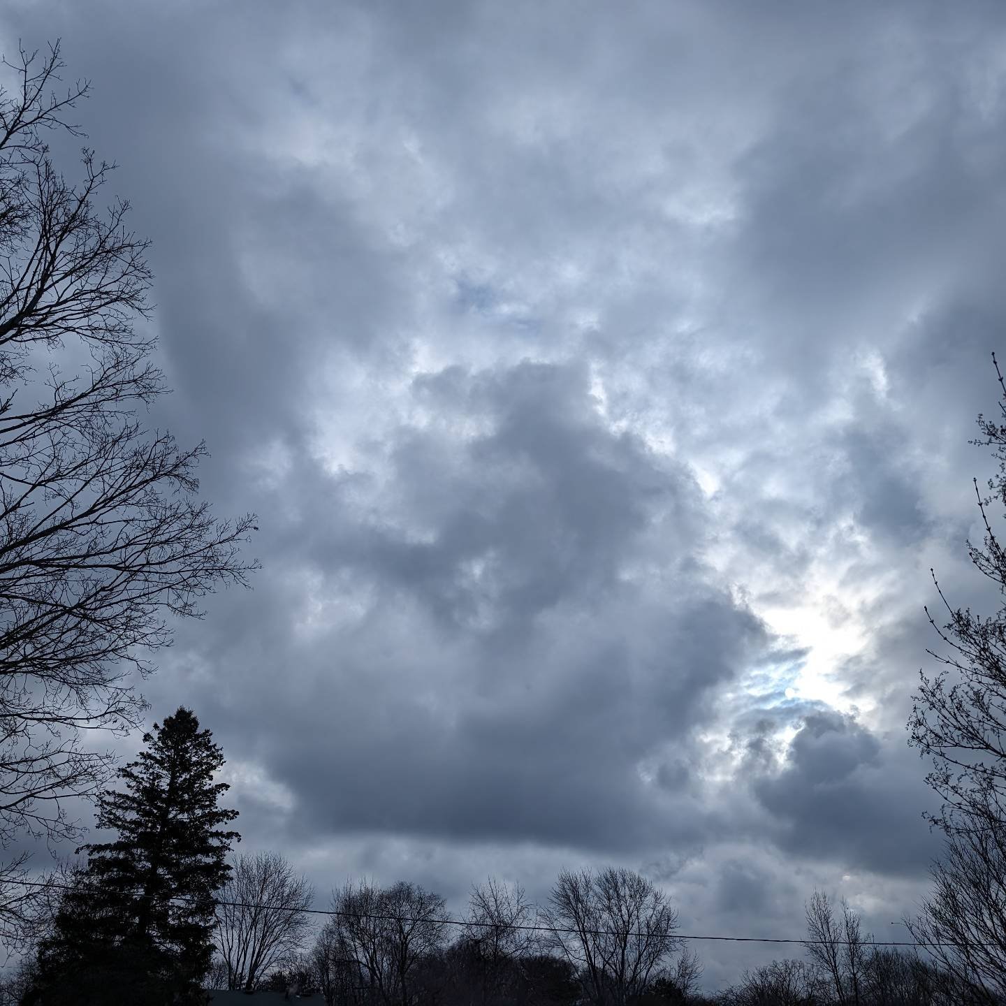 Winter. February 13th, 2024. – Greylupine Photography