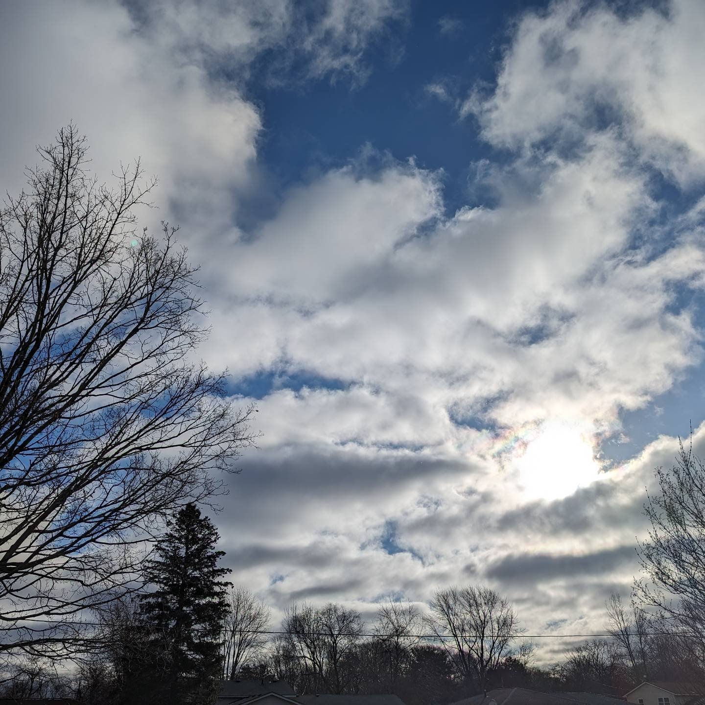 Winter. February 14th, 2024. – Greylupine Photography