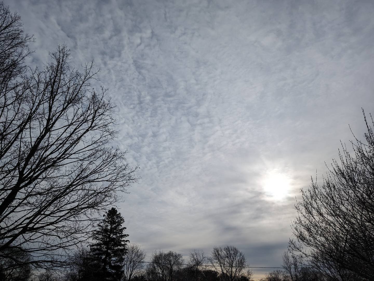 Winter. February 15th, 2024. – Greylupine Photography