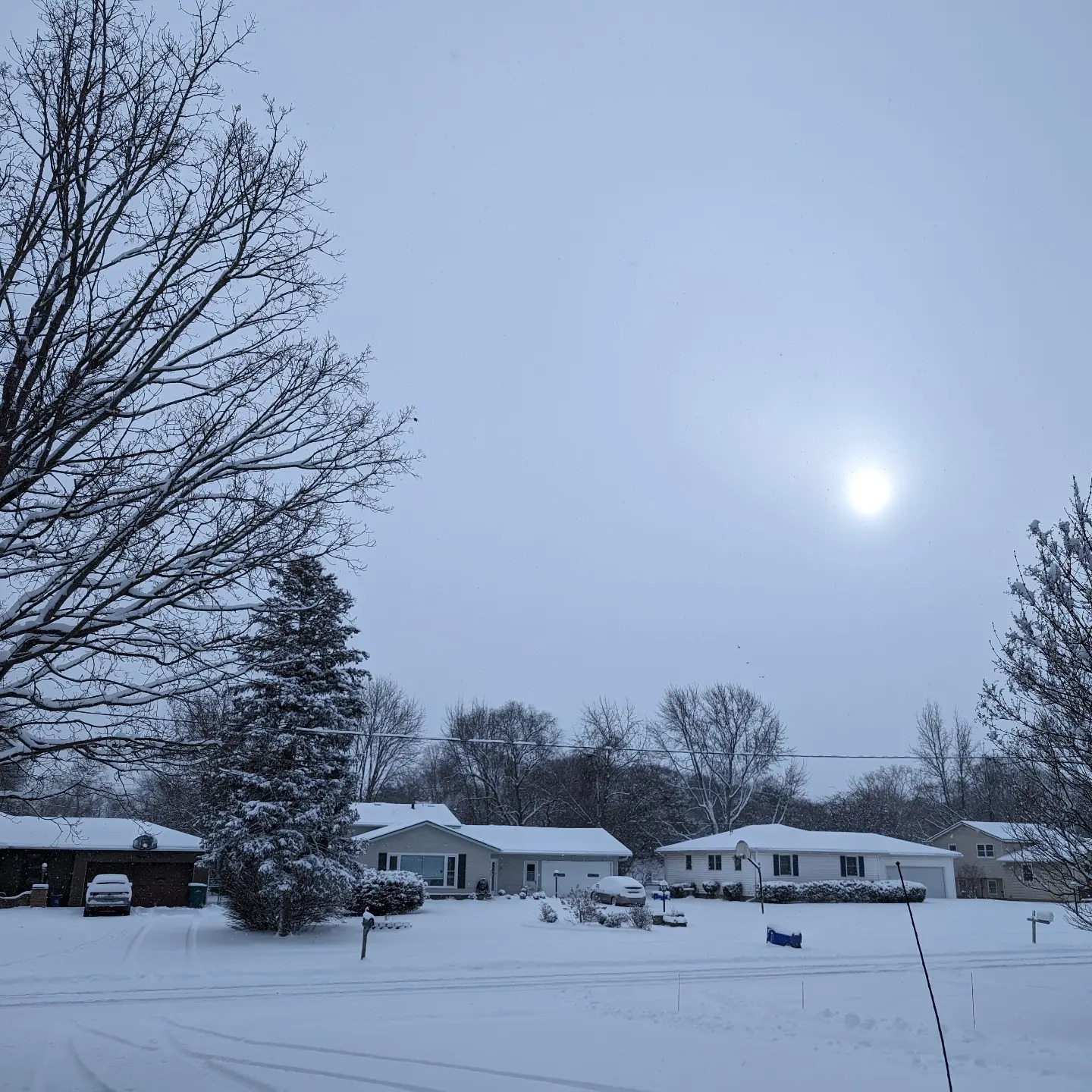 Winter. February 17th, 2024. – Greylupine Photography