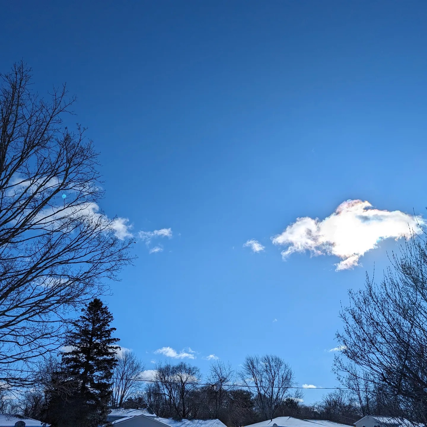 Winter. February 19th, 2024. – Greylupine Photography