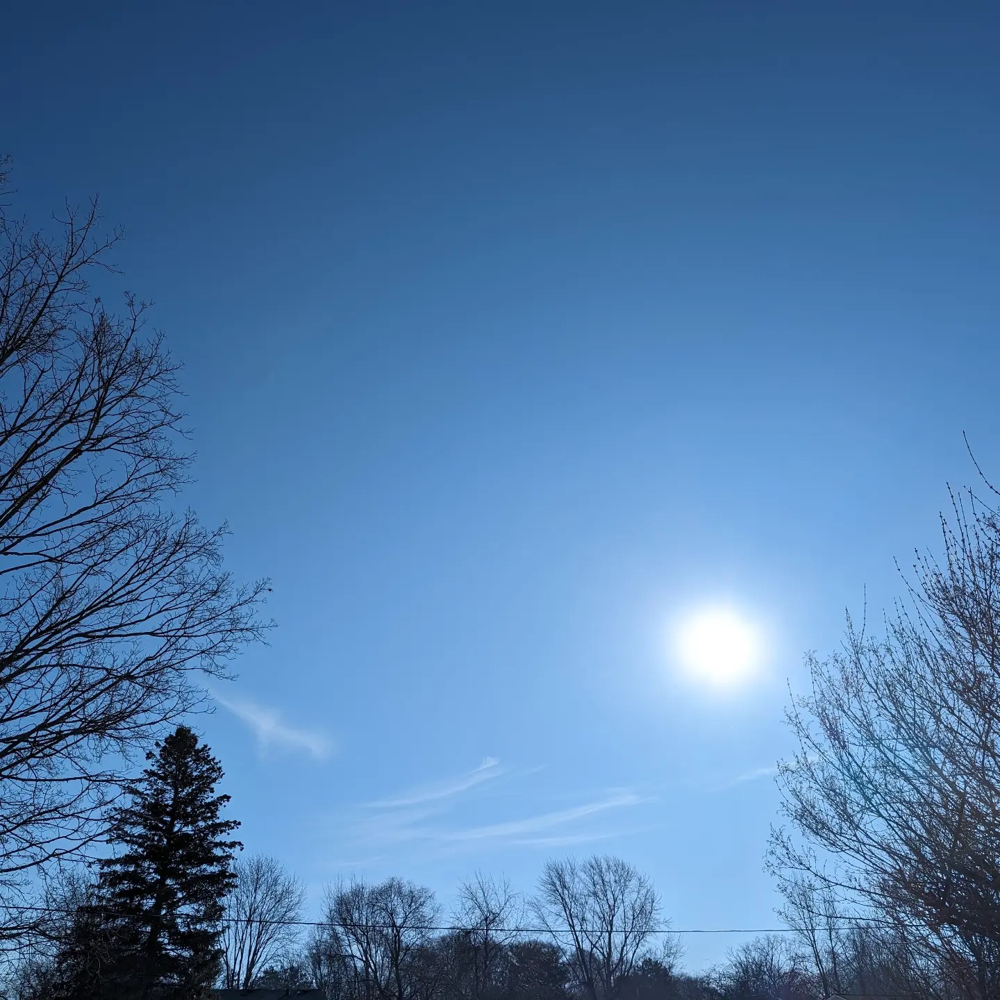Winter. February 21st, 2024. – Greylupine Photography