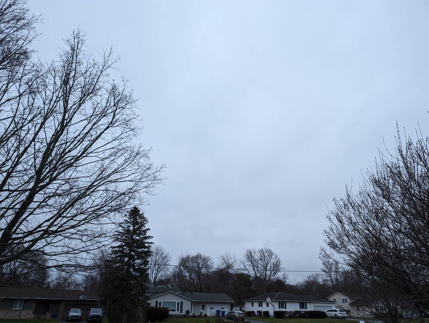 Winter. February 2nd, 2024. – Greylupine Photography