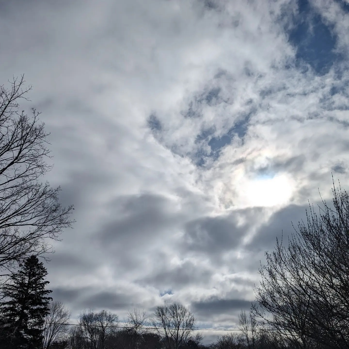 Winter. February 24th, 2024. – Greylupine Photography