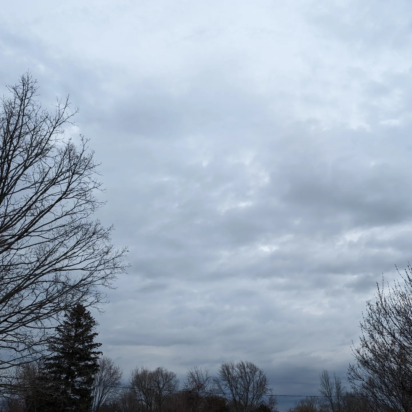Winter. February 28th, 2024. – Greylupine Photography