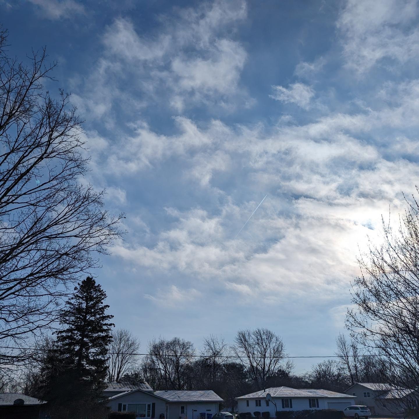 Winter. February 4th, 2024. – Greylupine Photography