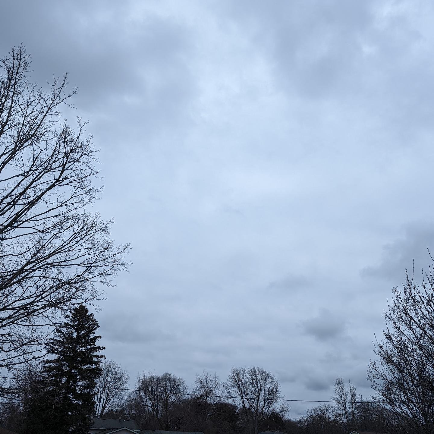 Winter. February 5th, 2024. – Greylupine Photography