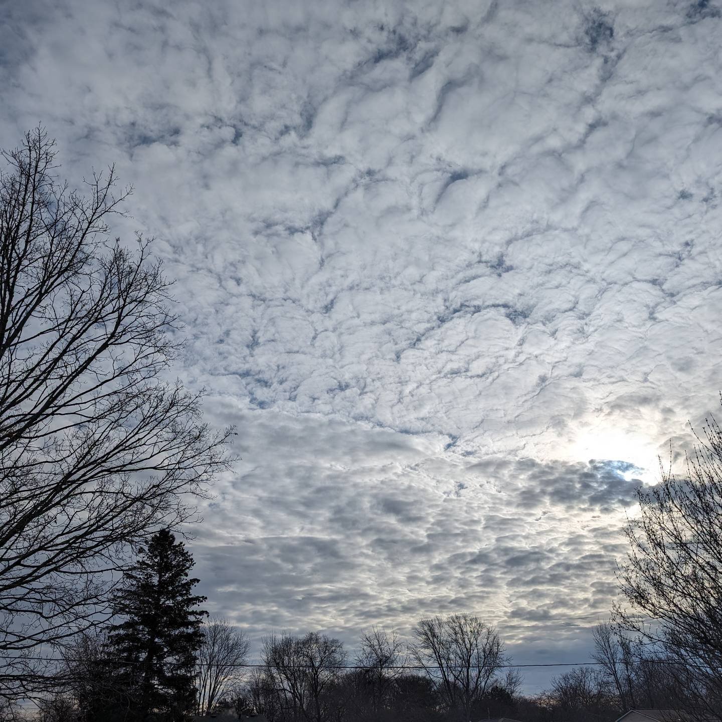Winter. February 7th, 2024. – Greylupine Photography