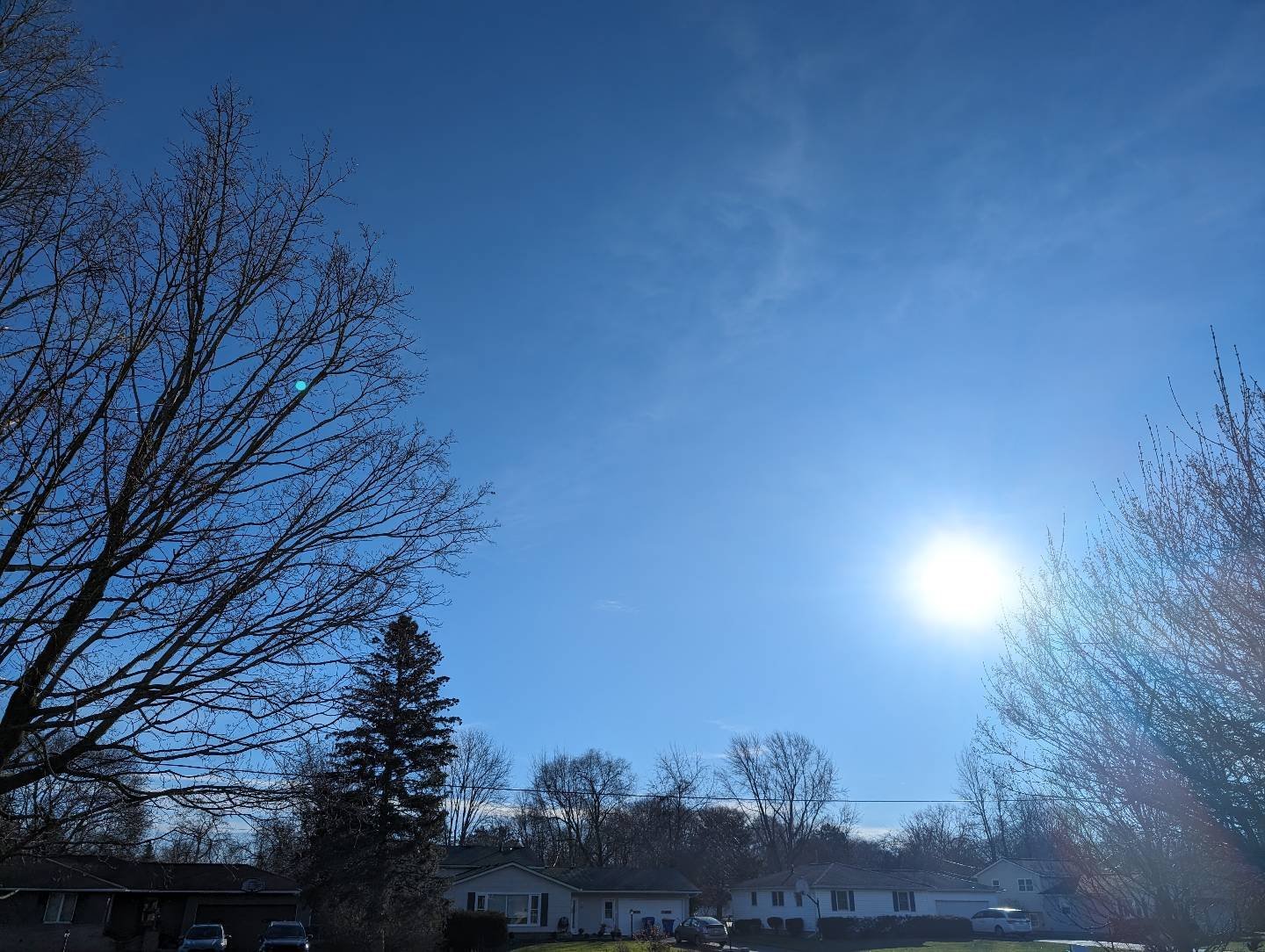 Winter. February 8th, 2024. – Greylupine Photography