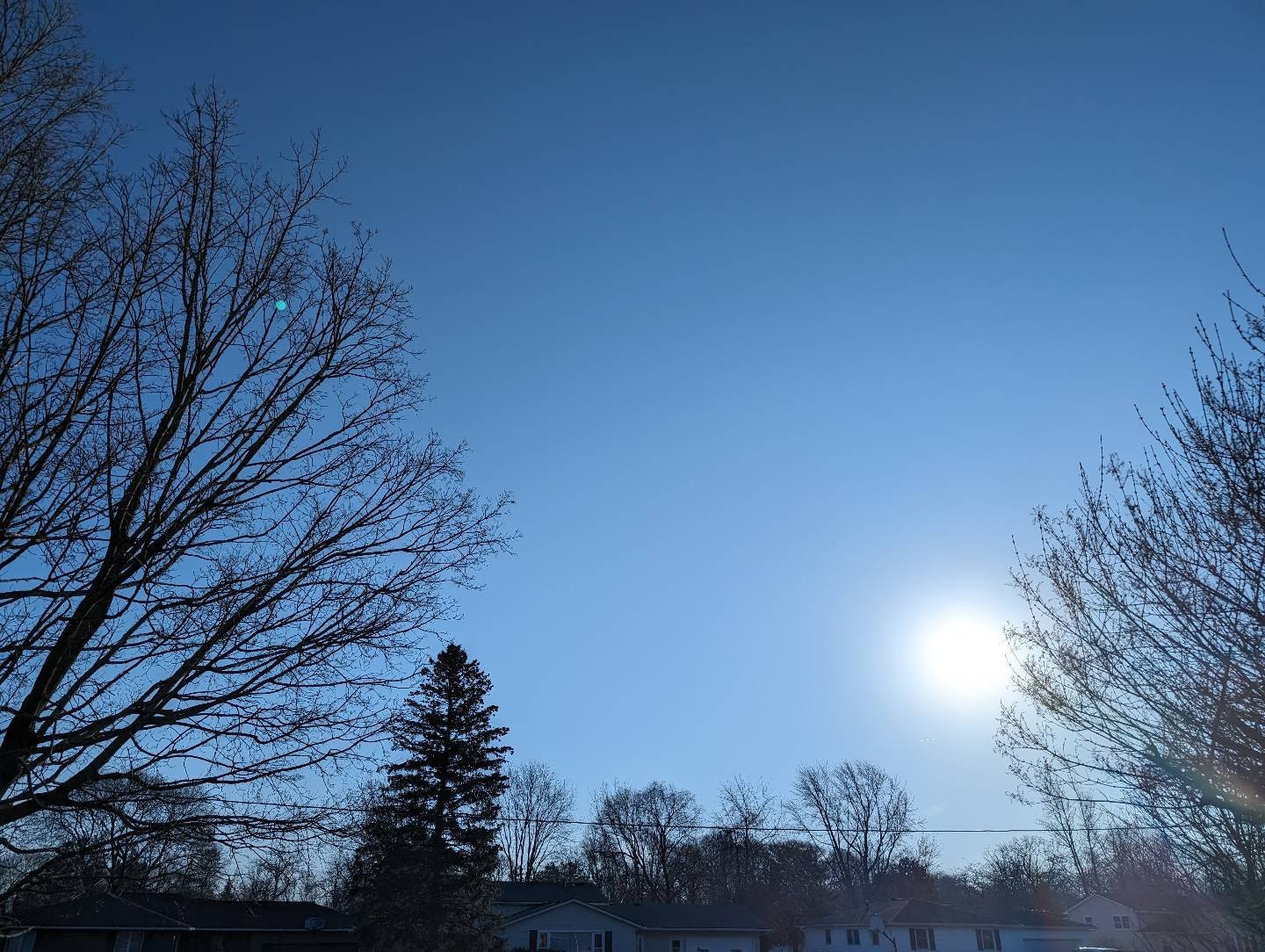 Winter. February 9th, 2024. – Greylupine Photography